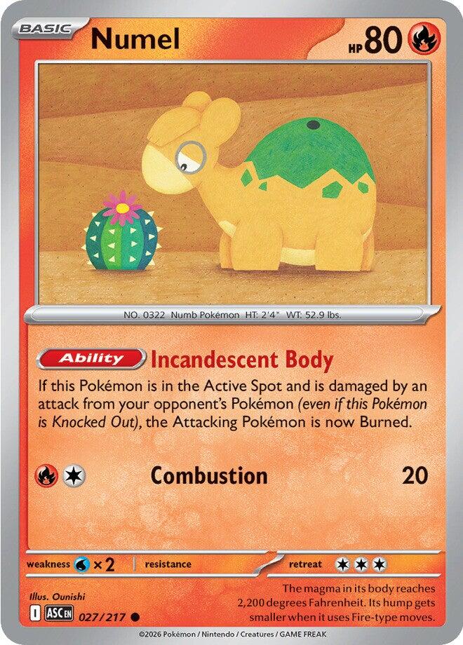 Numel (027/217) [Mega Evolution: Ascended Heroes] | Good Games TCG